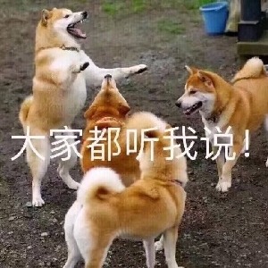 安静大家都听我说 