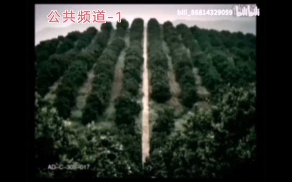 中国移动通信成为移动改变生活农民篇广告合集(2010年上海世博会至今)