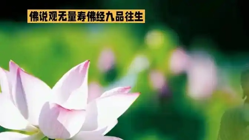 佛说观无量寿佛经九品往生