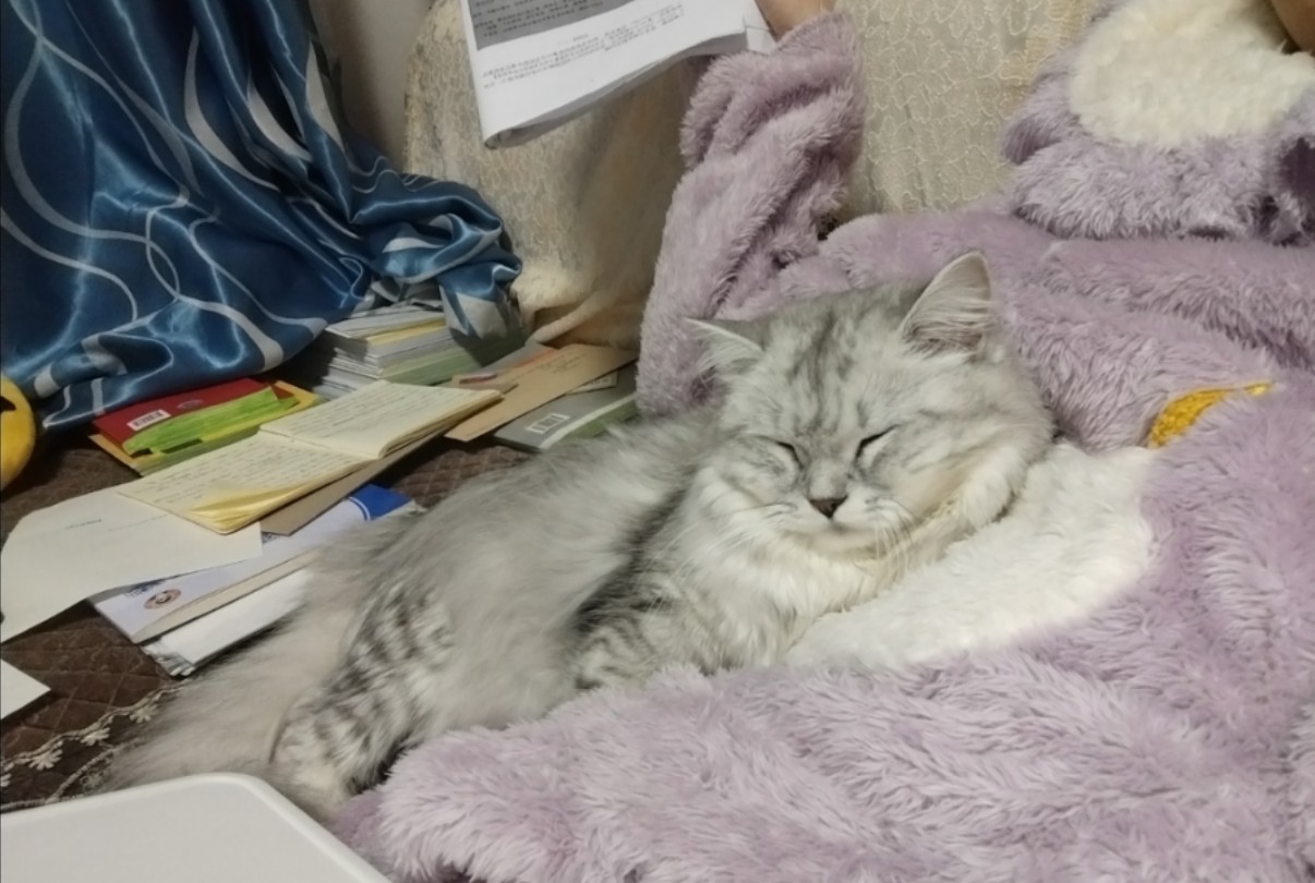 生物化学20070301ATP作为细胞的最主要直接能源物质,有少数反应是...