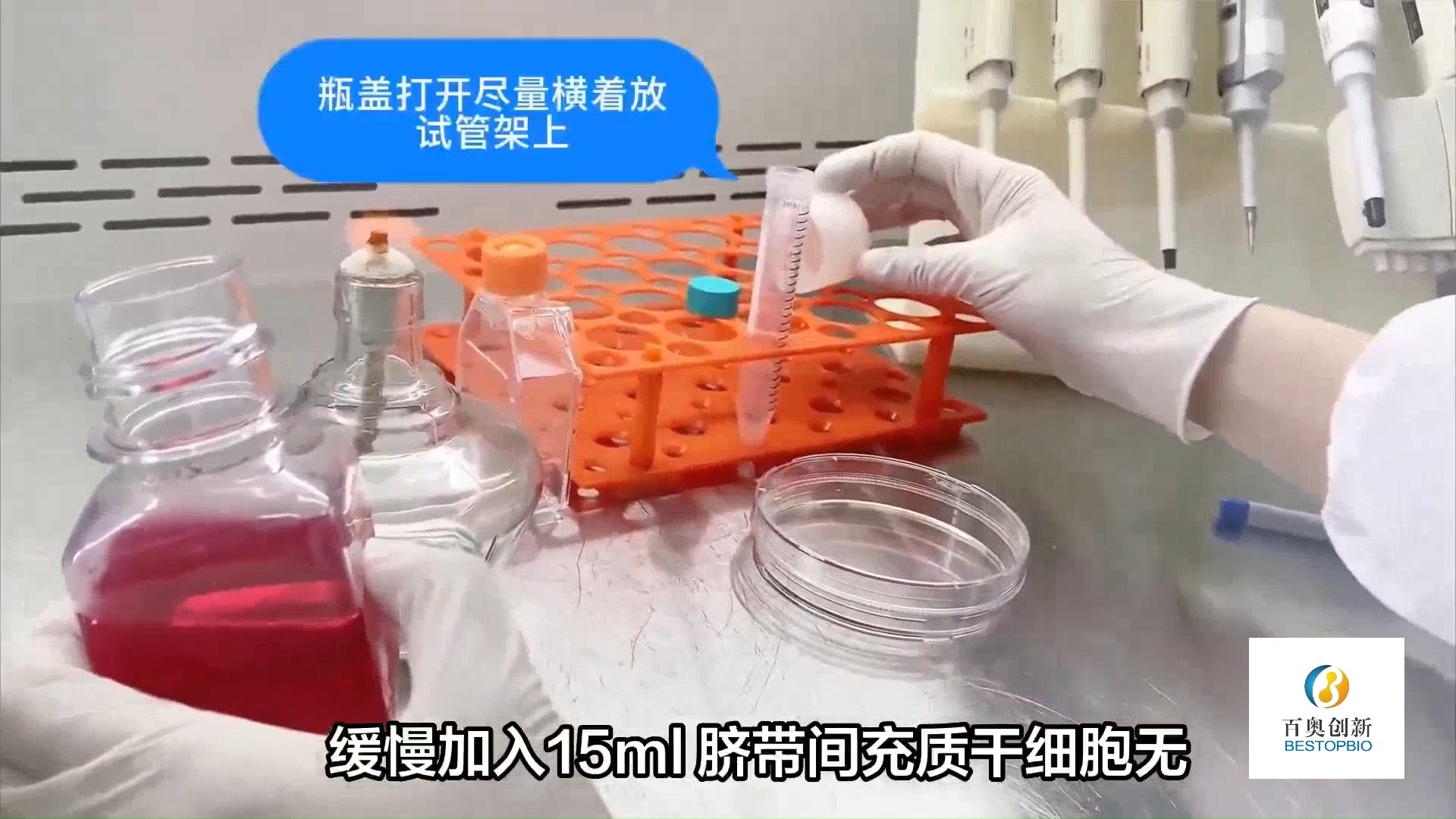 脐带间充质干细胞的分离与培养方法