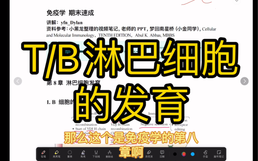 T/B淋巴细胞的发育(VDJ基因重排,阳性选择,阴性选择等)【免疫学期末...