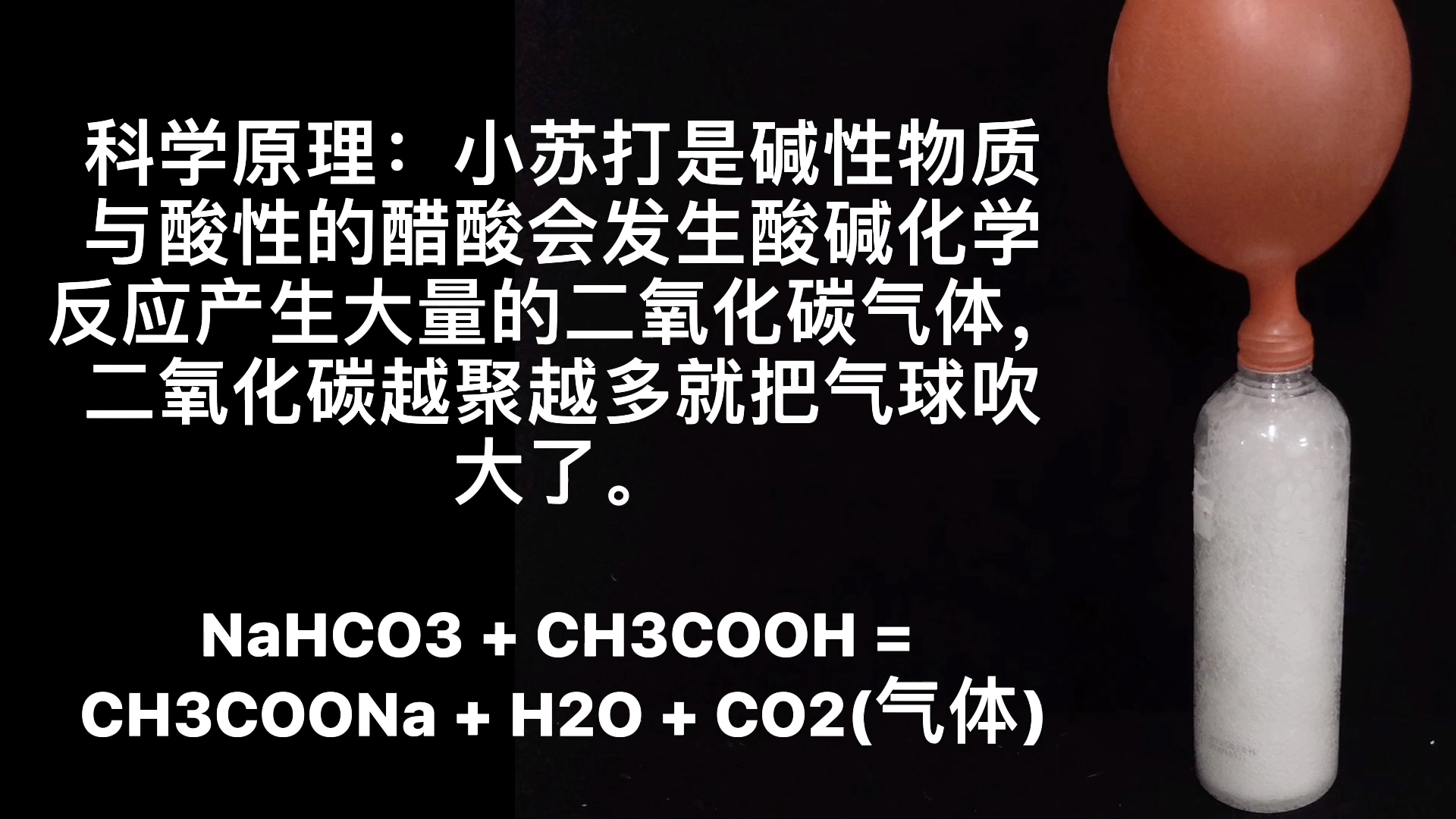 瓶吹气球 在家就能做的科学