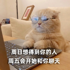 小点毛就叫啊毛 
