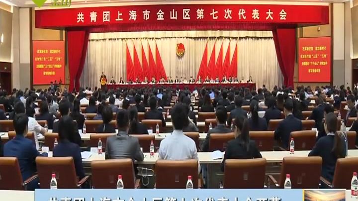 共青团上海市金山区第七次代表大会开幕