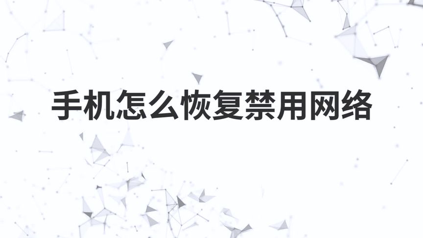 手机怎么恢复禁用网络