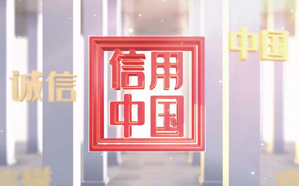 《信用中国》税安科技(杭州)有限公司 徐心梧专访