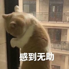 试图早睡の龙井虾仁 