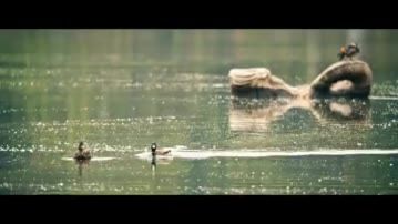 看看这部北大招生宣传片,许个愿吧!