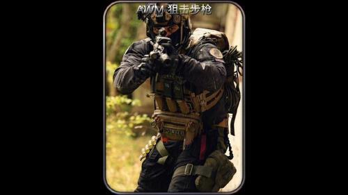 这是你想象中的awm吗