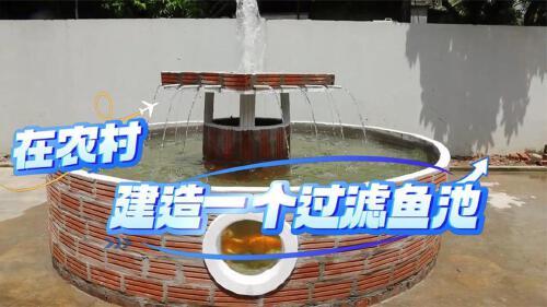 如何建造鱼池过滤循环系统,男人在农村建造了一个过滤鱼池