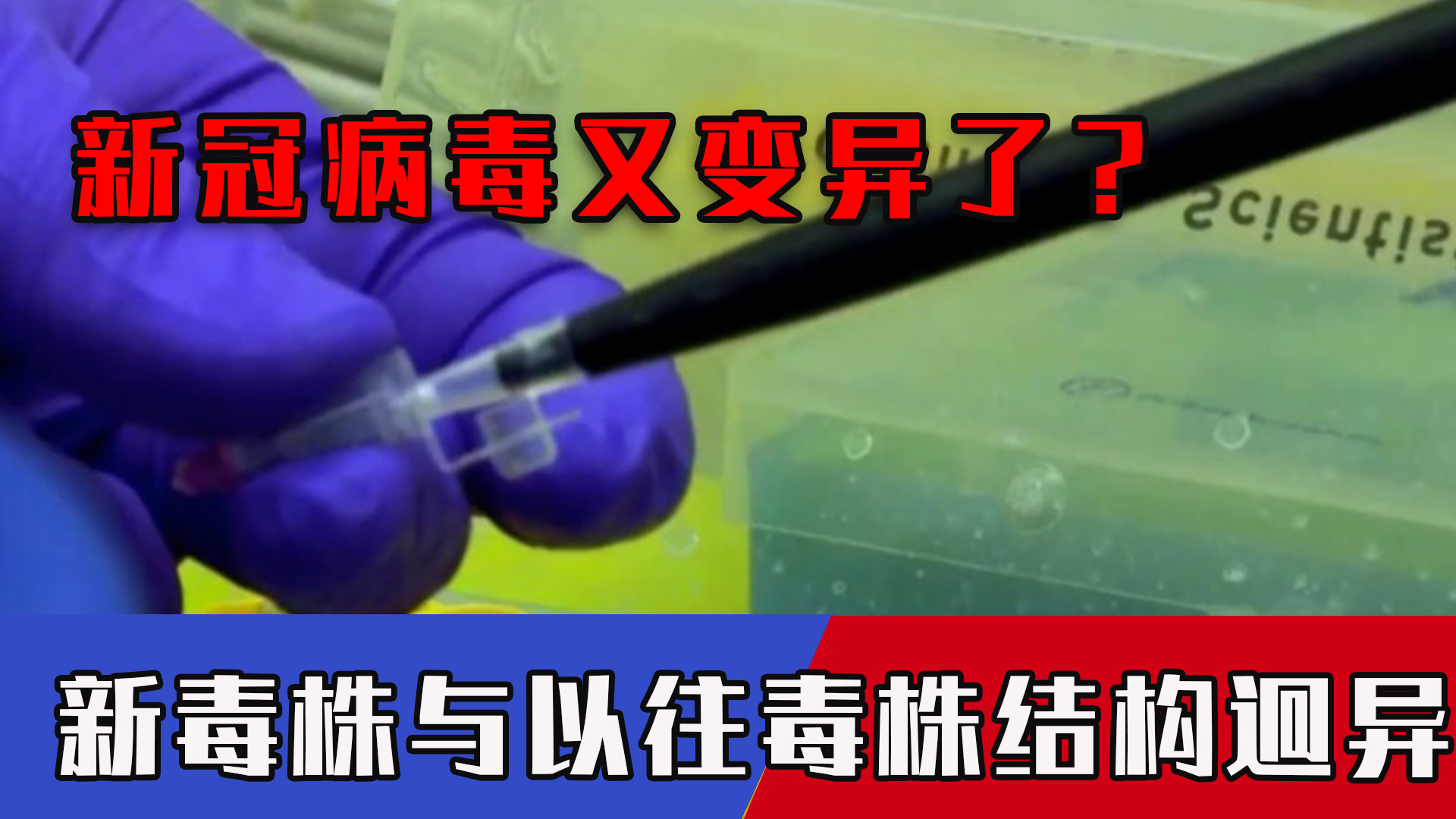 新冠病毒又变异了?新毒株面目浮出水面,与以往毒株结构迥异