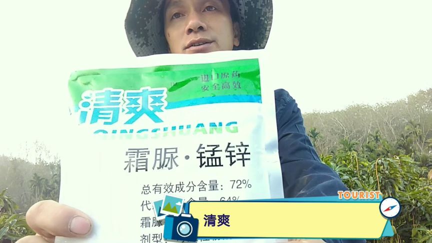 芒果在科学管理中安全用药是大有讲究的,大家用对了吗?