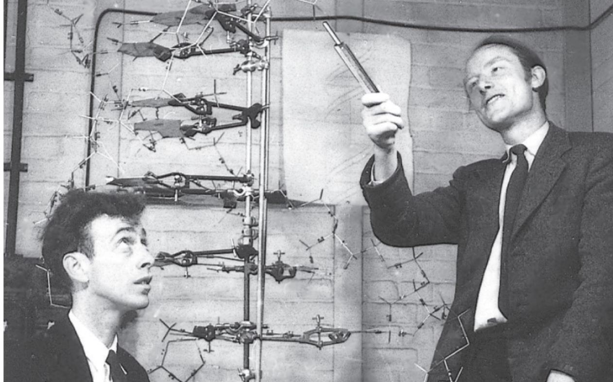 【一分钟带你看诺奖】第一期(1962年生理与医学奖-DNA双螺旋的发现)
