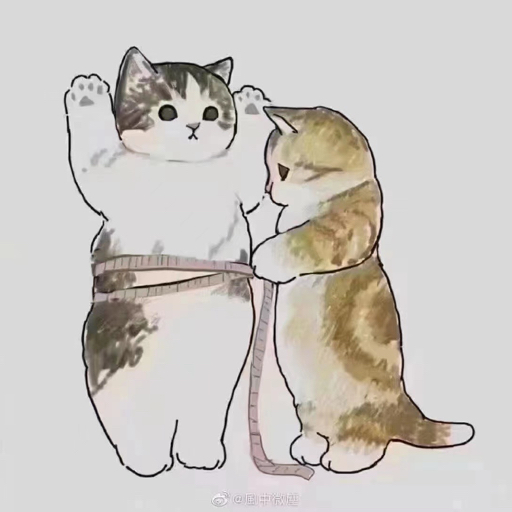 会计学姐彭老师 