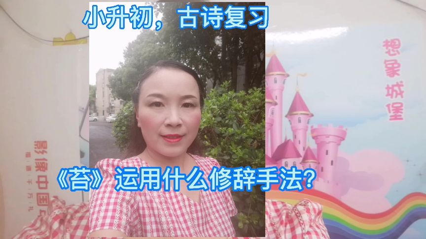 小升初,古诗复习,《苔》运用了什么修辞手法?