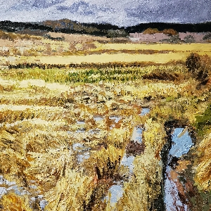 Tommy不会说英语 