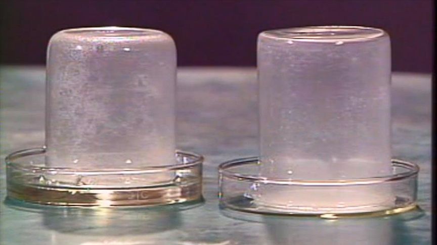 浓硫酸的性质:吸水性