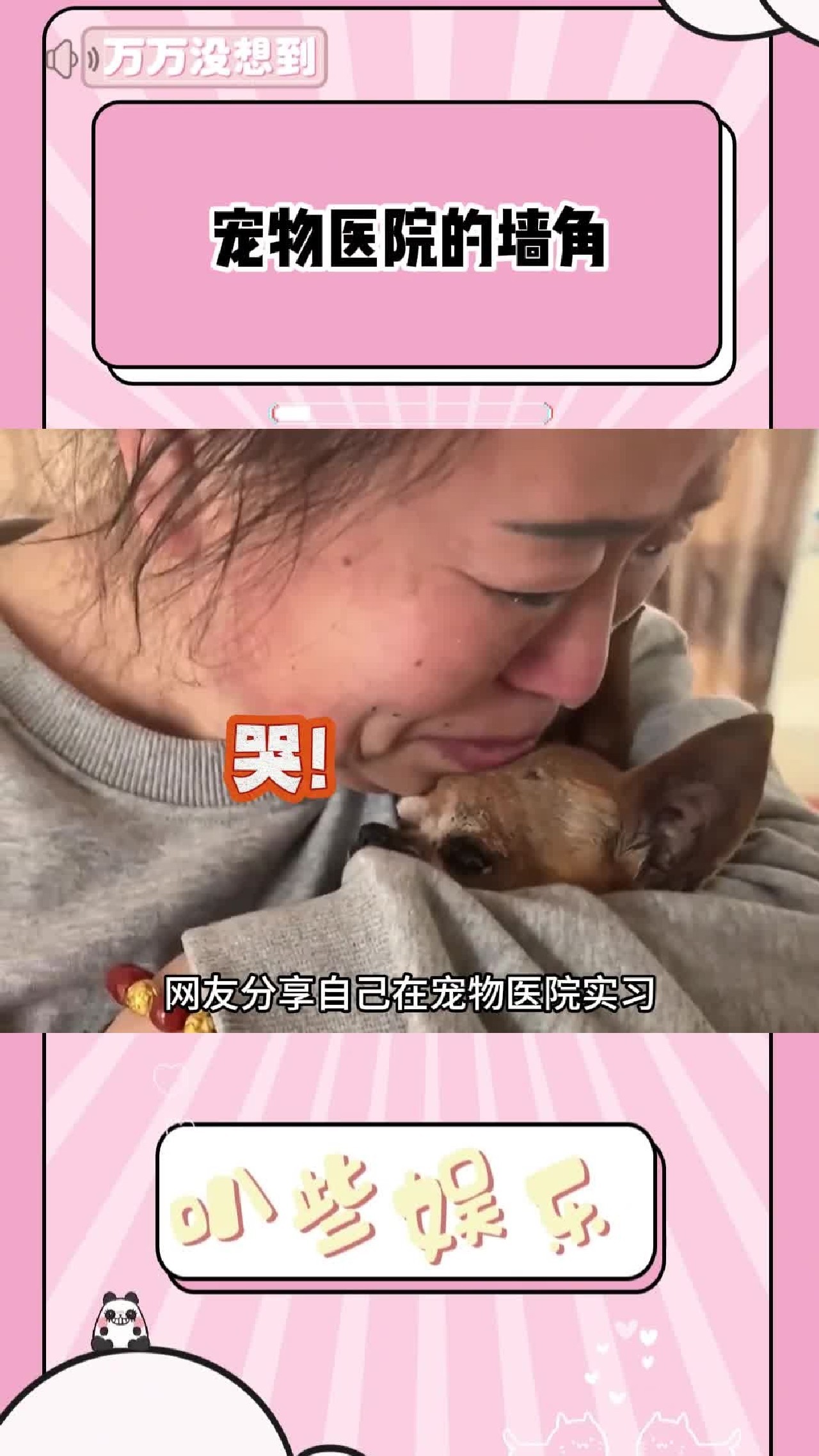 宠物医院的墙角,充满了人们对家人的不舍