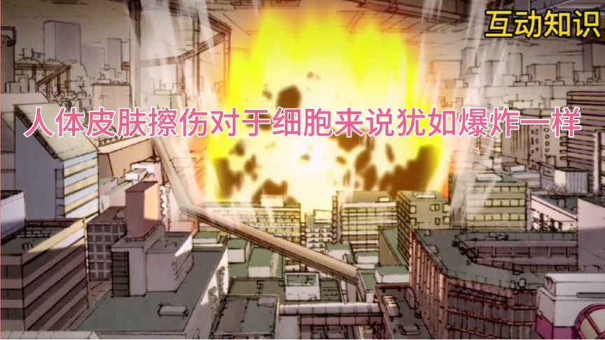 用动画的方式介绍人体中细胞的工作方式11人体皮肤擦伤