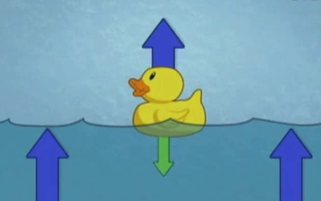浮力
