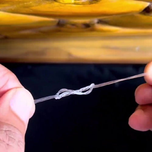 学不废的钓鱼结系列之路亚倒钓钓组绑法教程分享