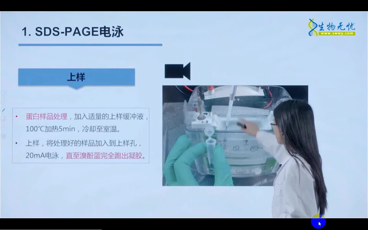 最新28种生物医学实验原理及操作视频,新手入门不发愁!