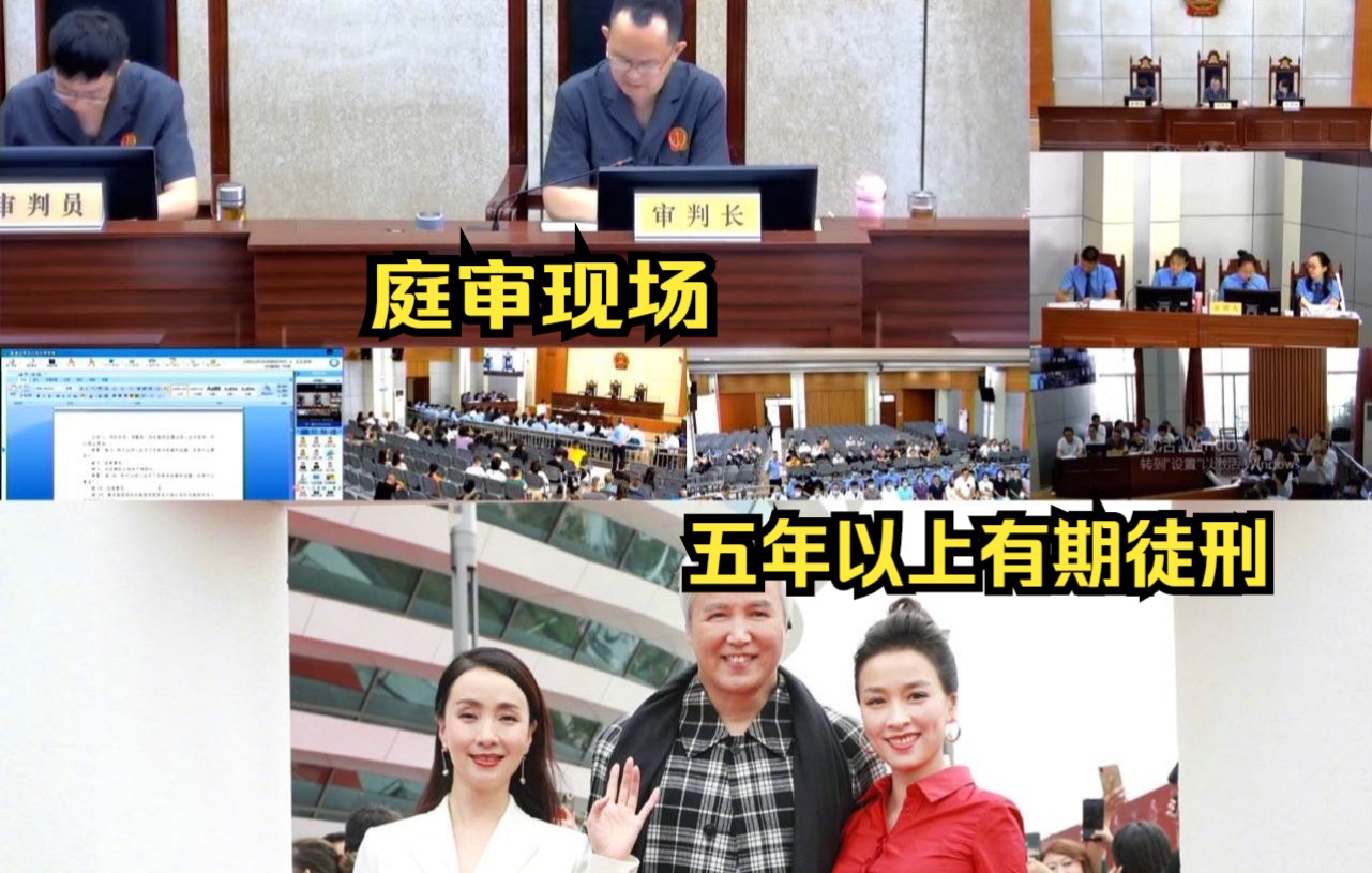 张庭夫妇会被判处刑罚吗?判决书对类似传销行为已有先例