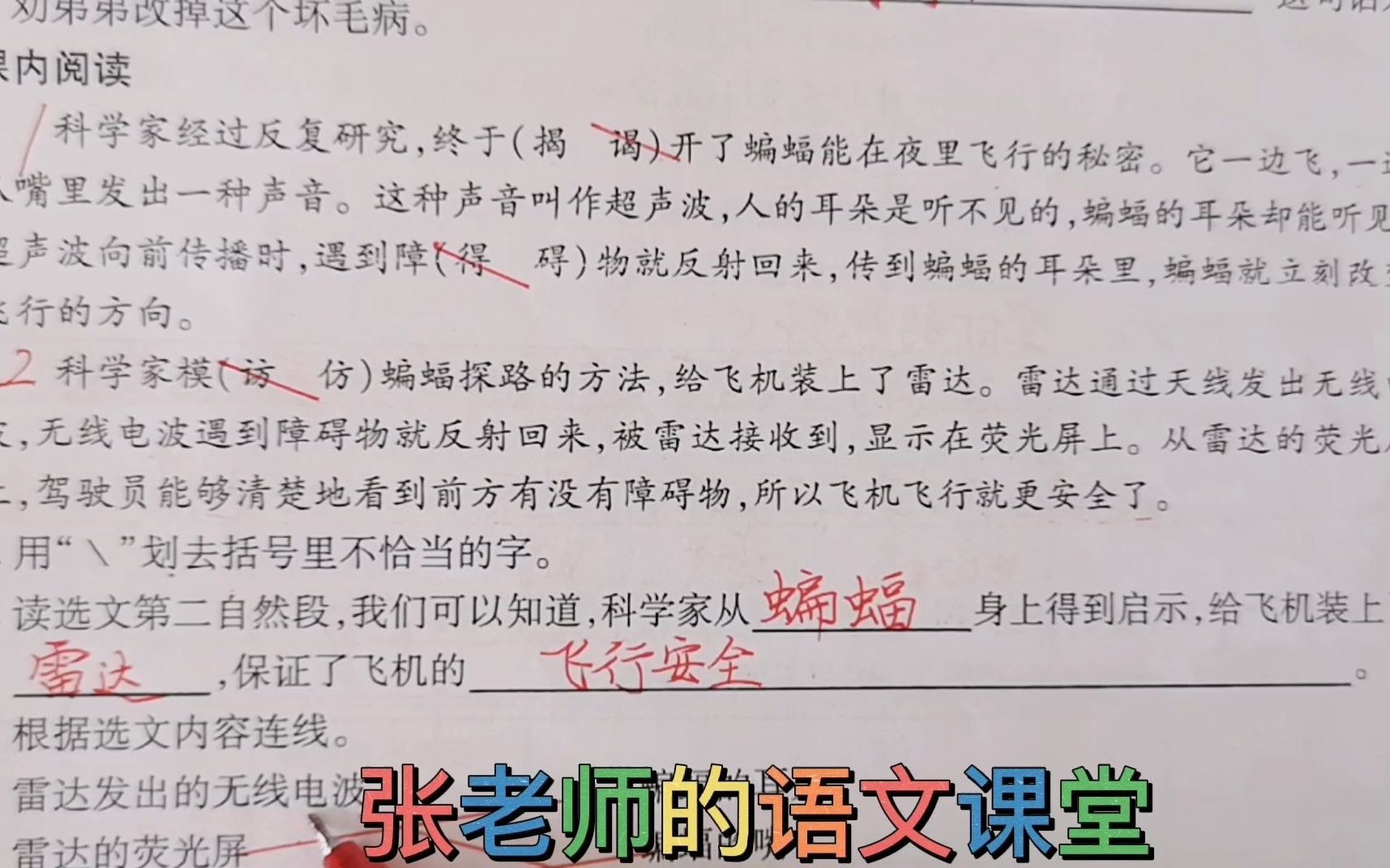 四年级上课内阅读练习,科学家从蝙蝠身上得到启示,给飞机装什么