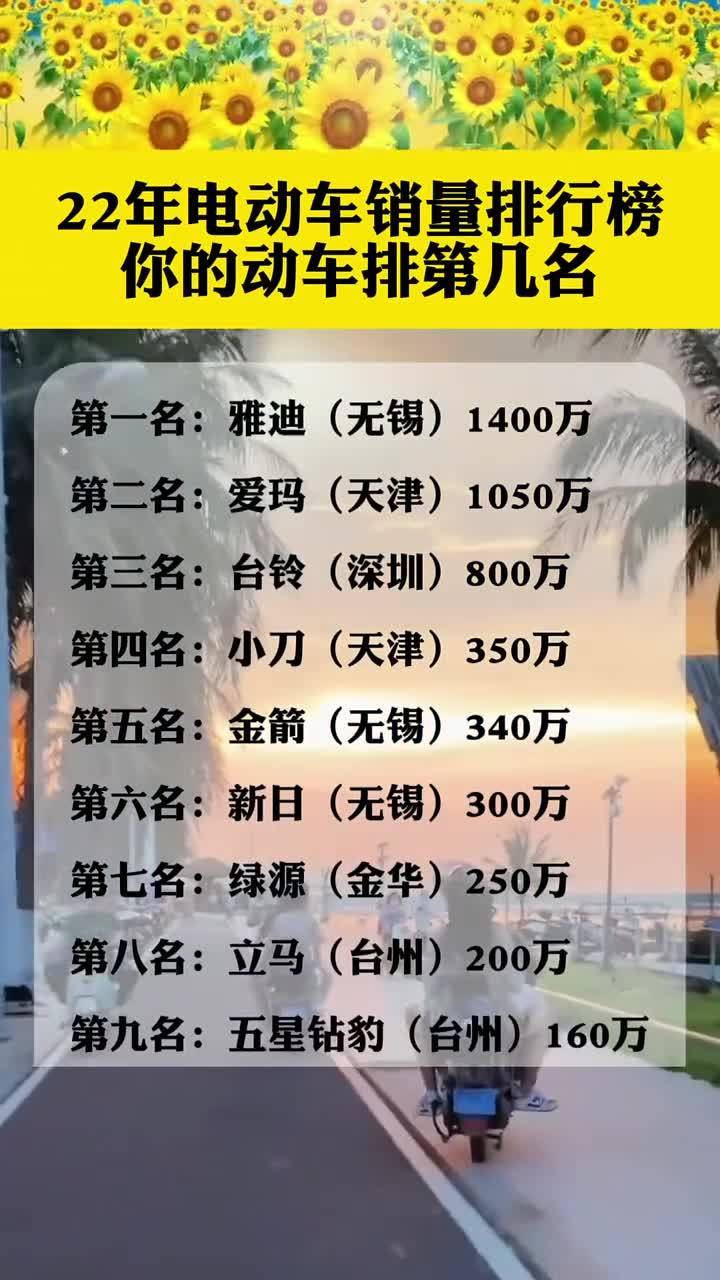22年电动车,销量排行榜,你的电动车排第几名?