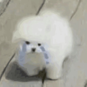 西瓜汁一口就睡 