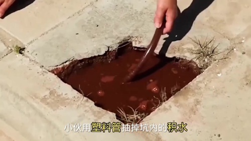 没想到垃圾桶还能这样制真是大开眼界