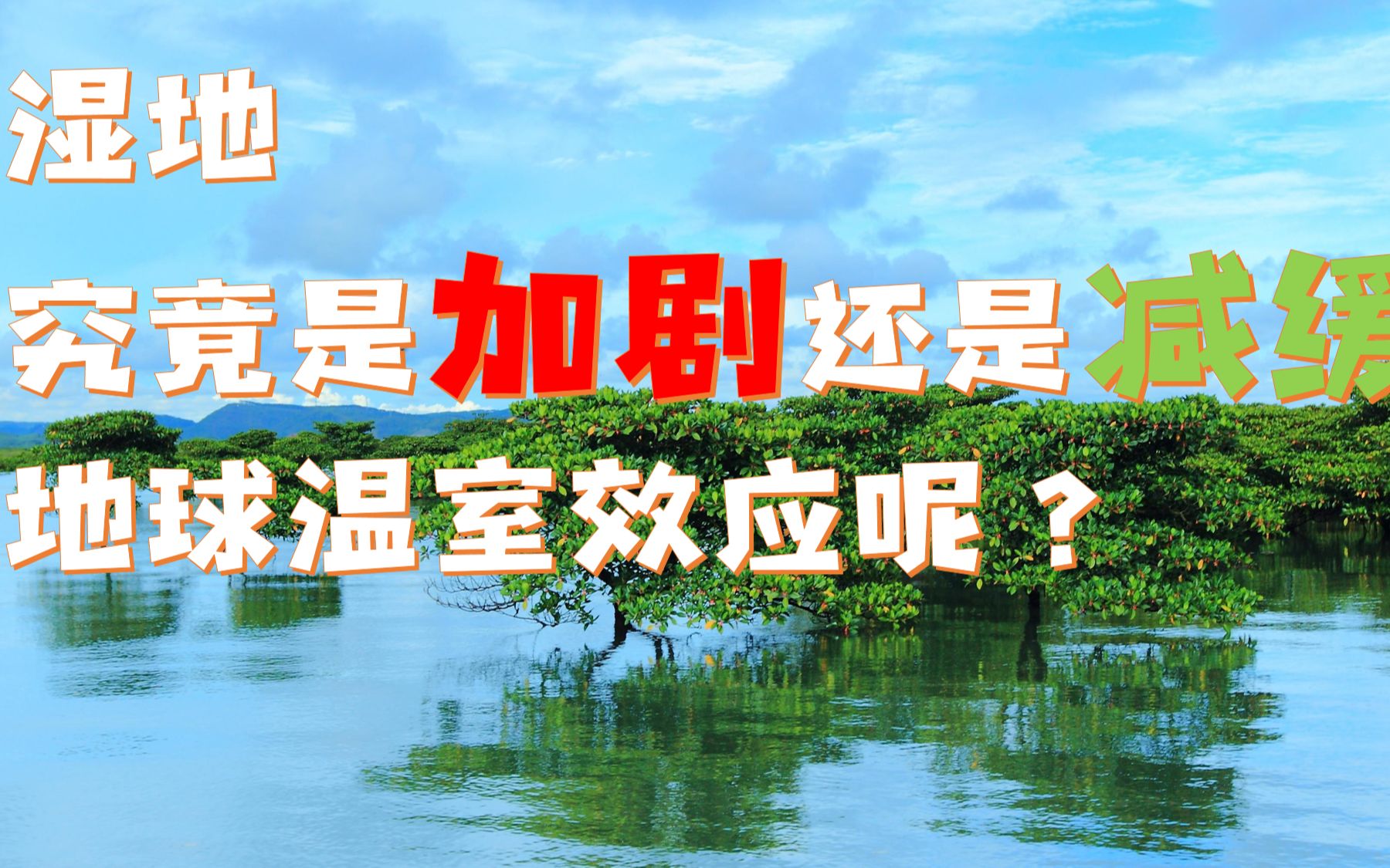 复旦大学《自然地理学》学生作品 | 湿地究竟是加剧还是减缓地球温室...