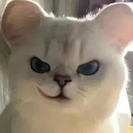 硬菜玩家 
