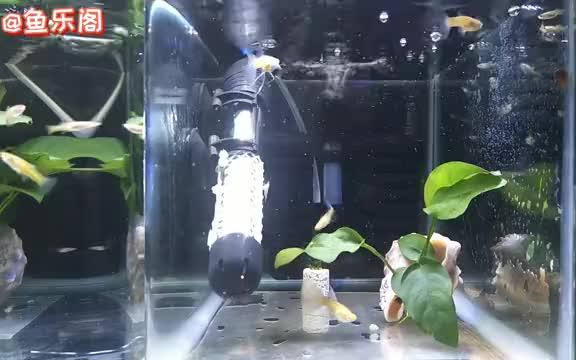 怀疑加热棒坏了,不知道怎么测试?来看这个视频吧