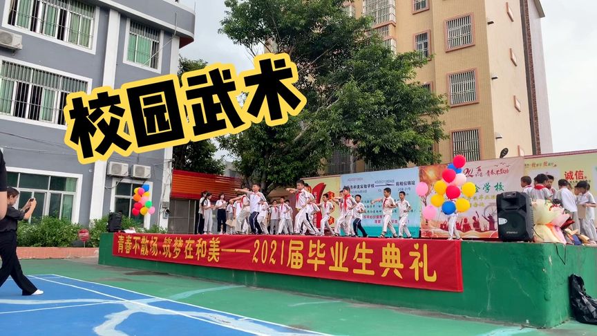 校园武术,小学生表演武术