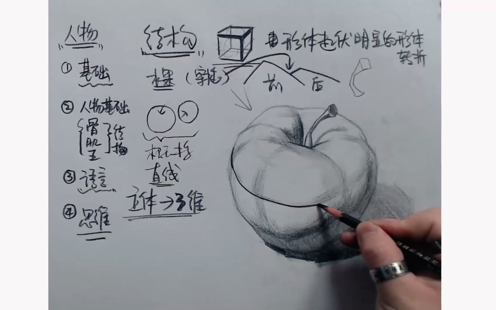 绘画语言艺术思维(七)结构线