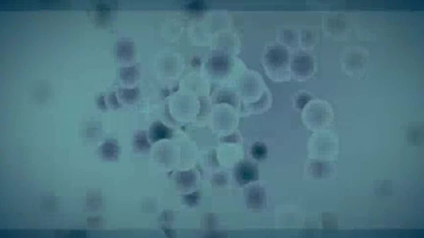 普通生物学:第49讲,病毒(二)