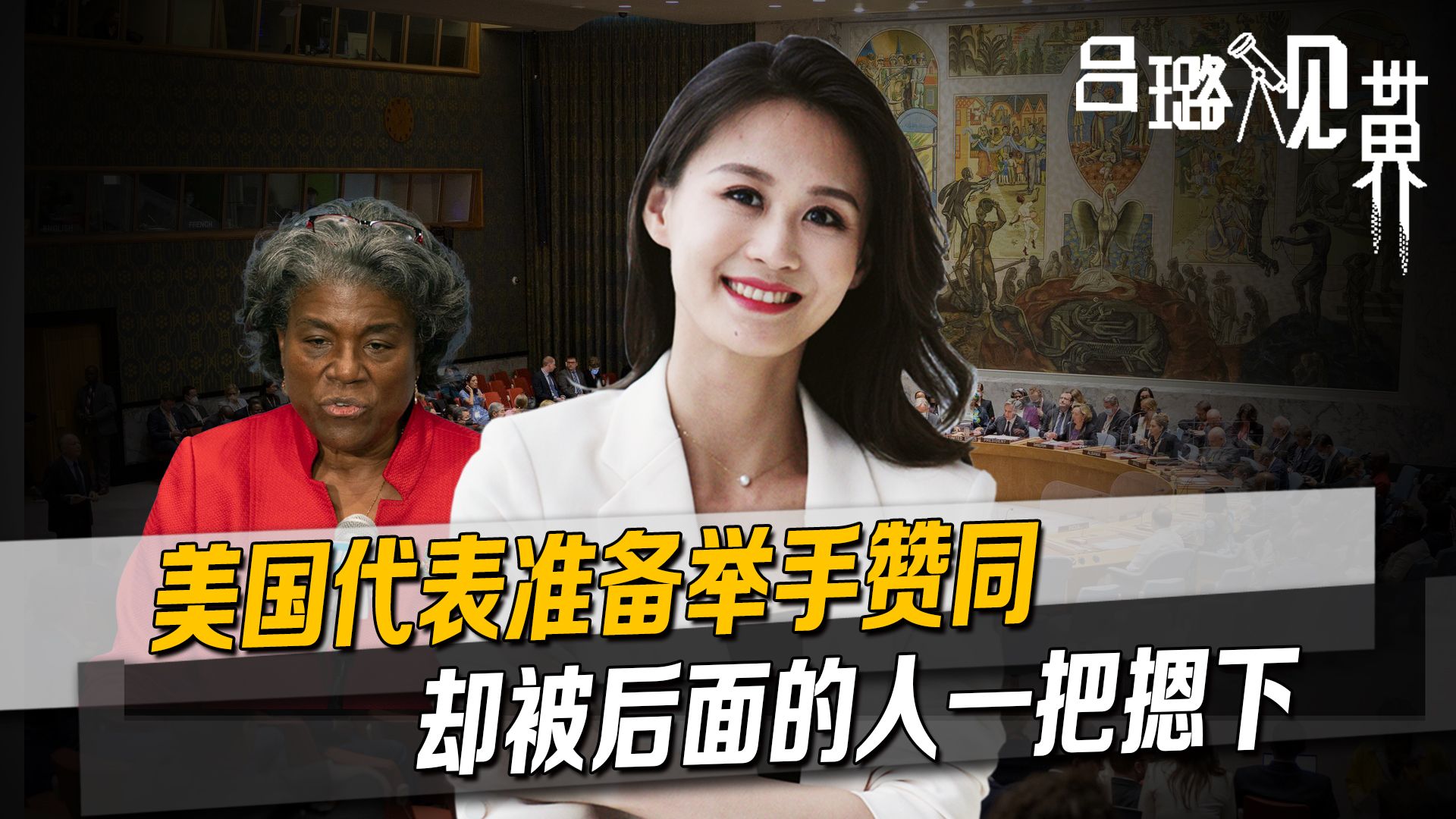 联合国安理会上,美国代表准备举手赞同,却被后面的人,一把摁下