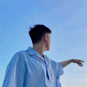 H青山独归远 