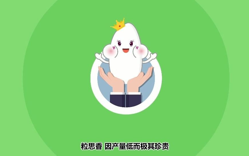 五常大米 产品动画