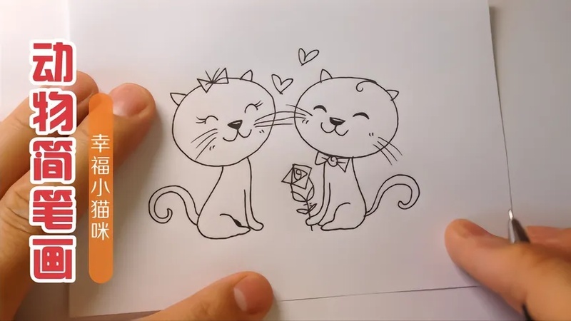 动物简笔画.幸福小猫咪
