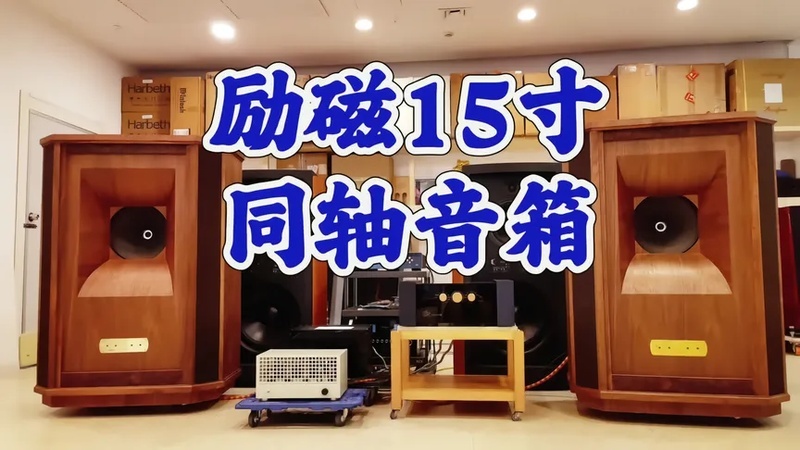 励磁15寸同轴音箱,15寸励磁喇叭,灵敏度高,同轴结构定位精准