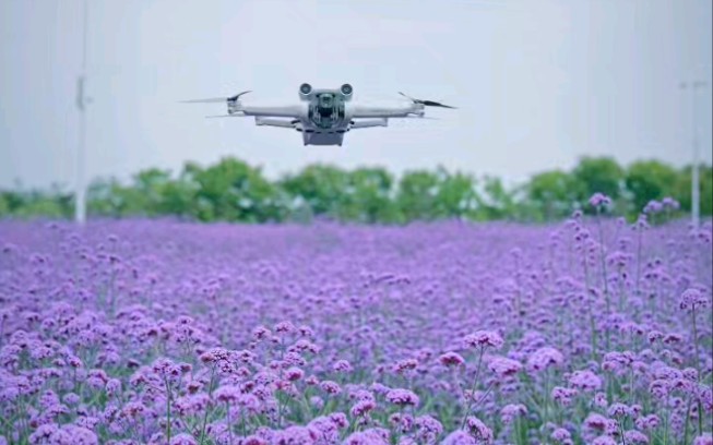 mini3pro使用感受,对比御3和air2s的优缺点,以及适合的人群,感谢南京...