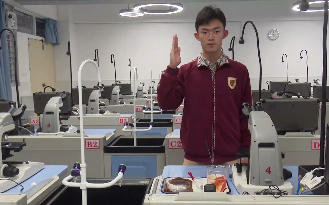 (生物)实验11 观察小鱼尾鳍内血液流动现象