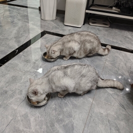 昔日凯格尔 