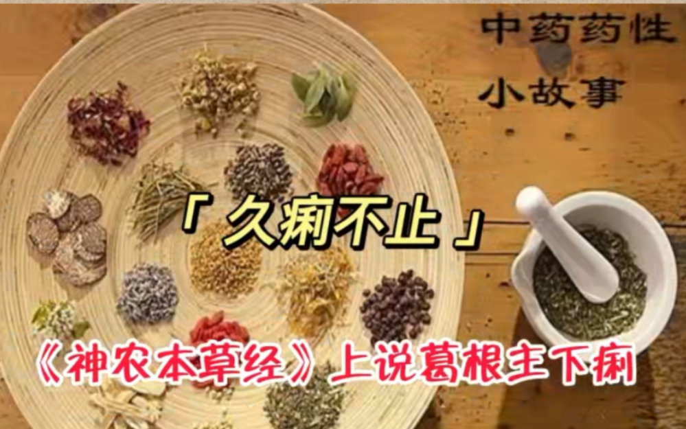 听故事学中医,中药药性:《葛根》