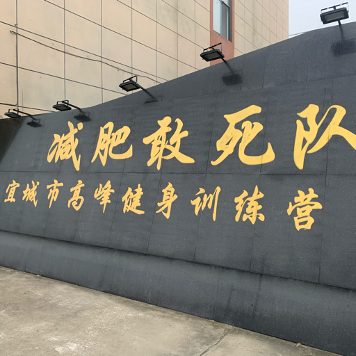 减肥敢死队-高峰 