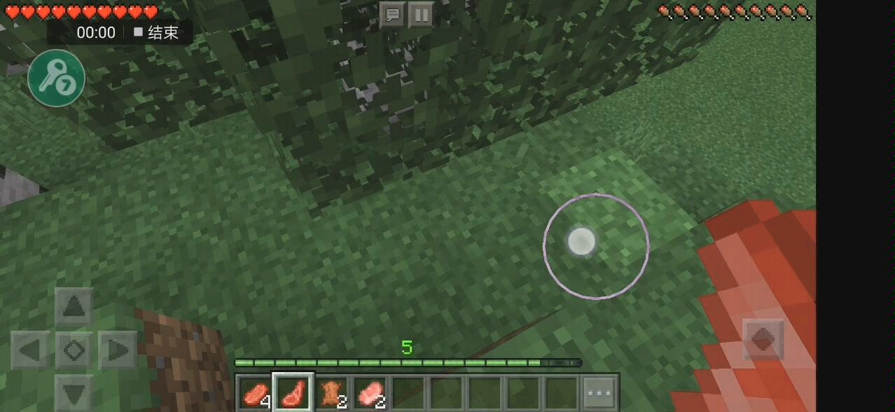 我的世界7723游戏盒修改器,之最后的挂逼