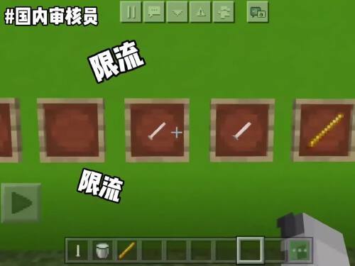国外审核员与国内审核员